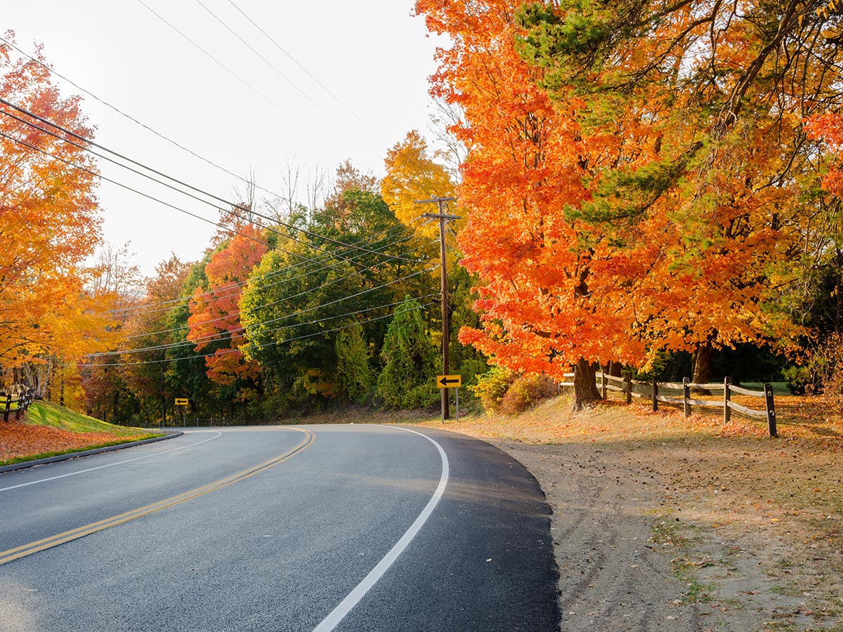 Personal Injury Attorney - Dale Funk. Funk 'Em.